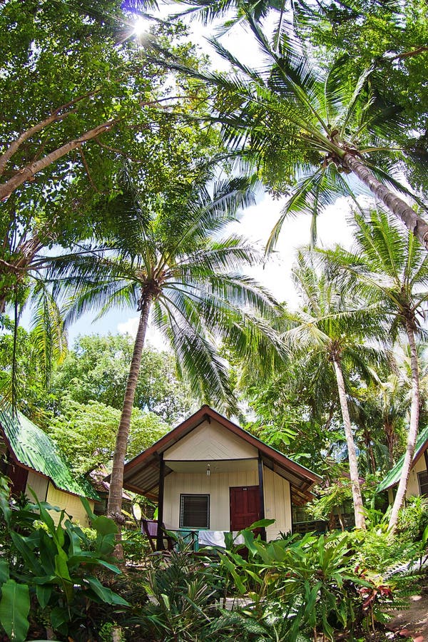 Bungalow in palm trees stock photo. Image of wooden, traditional - 17144474