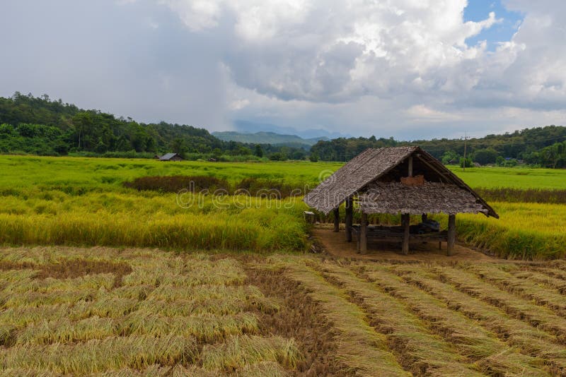 A Little Hut in Green Field Stock Image - Image of little, travel ...