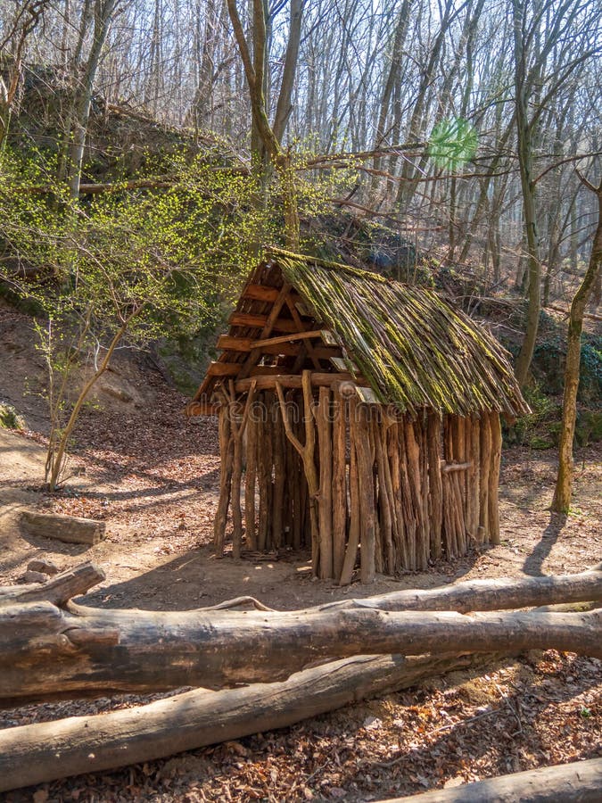 Little Hut Shelter in a Forest Stock Photo - Image of forest, flora ...