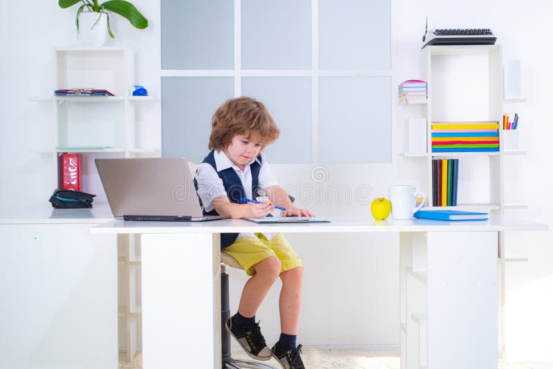 Little Kid Boy Businessman Entrepreneur Using Computer Looking at ...