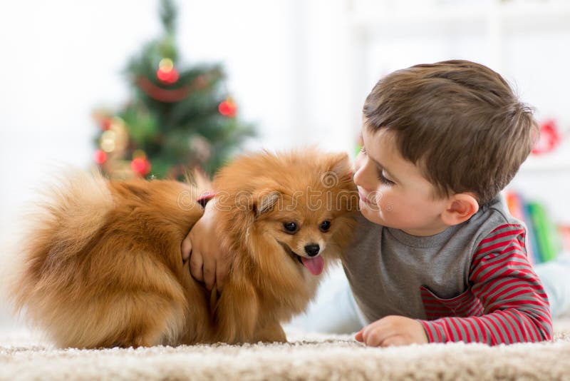 Little Kid Boy with Dog Lying on the Floor at Christmas Tree Stock ...