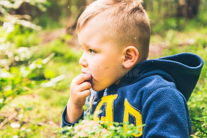 Little Kid Eat Blueberry in the Forest Stock Photo - Image of consume ...