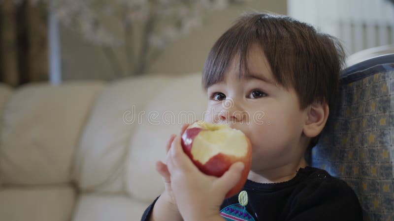 Little Kid Eats a Big Red Apple Stock Image - Image of children, asian ...