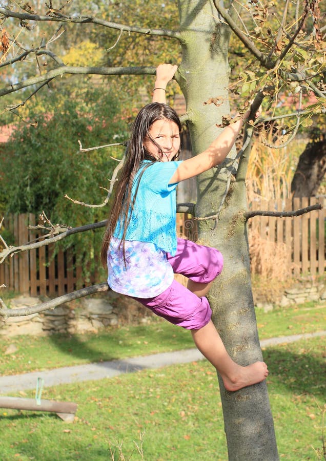 Little Kid - Girl Climbing on Tree Stock Photo - Image of enjoying ...