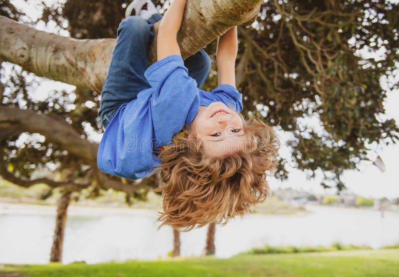 Little Kid on a Tree Branch. Baby Boy Climbs a Tree. Stock Photo ...