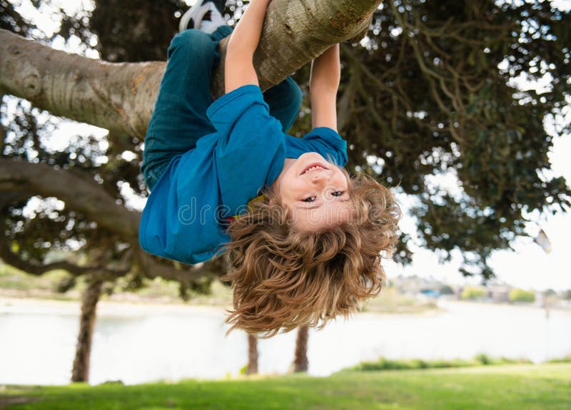 Little Kid on a Tree Branch. Baby Boy Climbs a Tree. Stock Image ...
