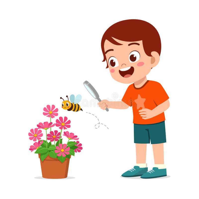 Little Kid Use Magnifying Glass To Observe Bee Stock Vector ...