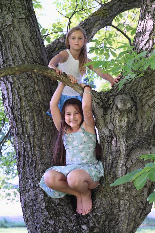4+ Climb girls tree Free Stock Photos - StockFreeImages