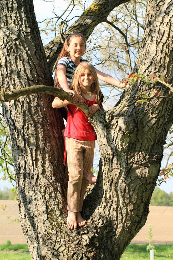 Little Kids - Girls Standing on Tree Stock Photo - Image of barefeet ...