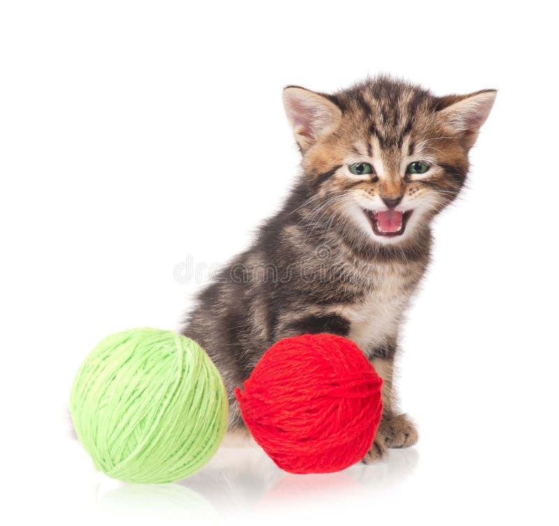 Crying little kitten stock photo. Image of purr, attention - 62832906