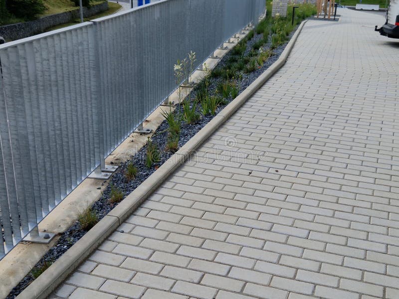 Little Known, they Bloom Gradually from the Bottom with Stock Image ...