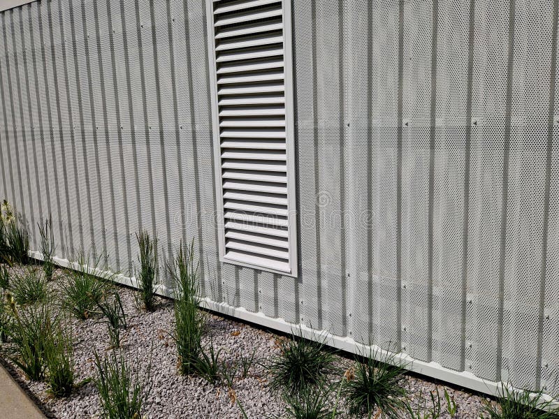 Little Known, they Bloom Gradually from the Bottom with Small Stars ...