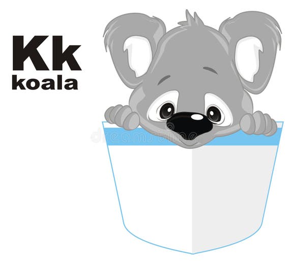 Koala and abc stock illustration. Illustration of snout - 169083391