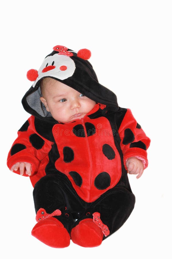 Smiley Face Ladybug Stock Photos - Free & Royalty-Free Stock Photos ...