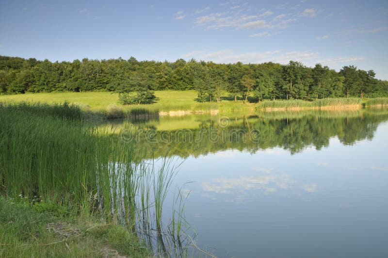 Little lake stock photo. Image of grass, reflection, hill - 9201330
