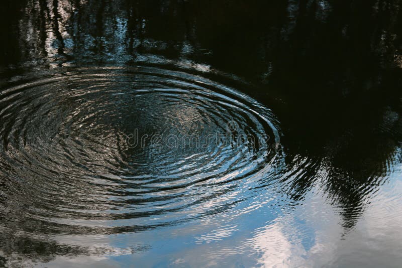 Little Lake in Germany with Dark Trees and Blue Sky Stock Photo - Image ...