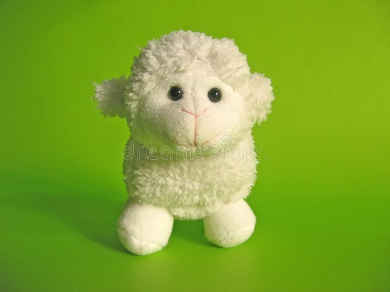 Little lamb - toy stock image. Image of wool, cuddle, spring - 506749