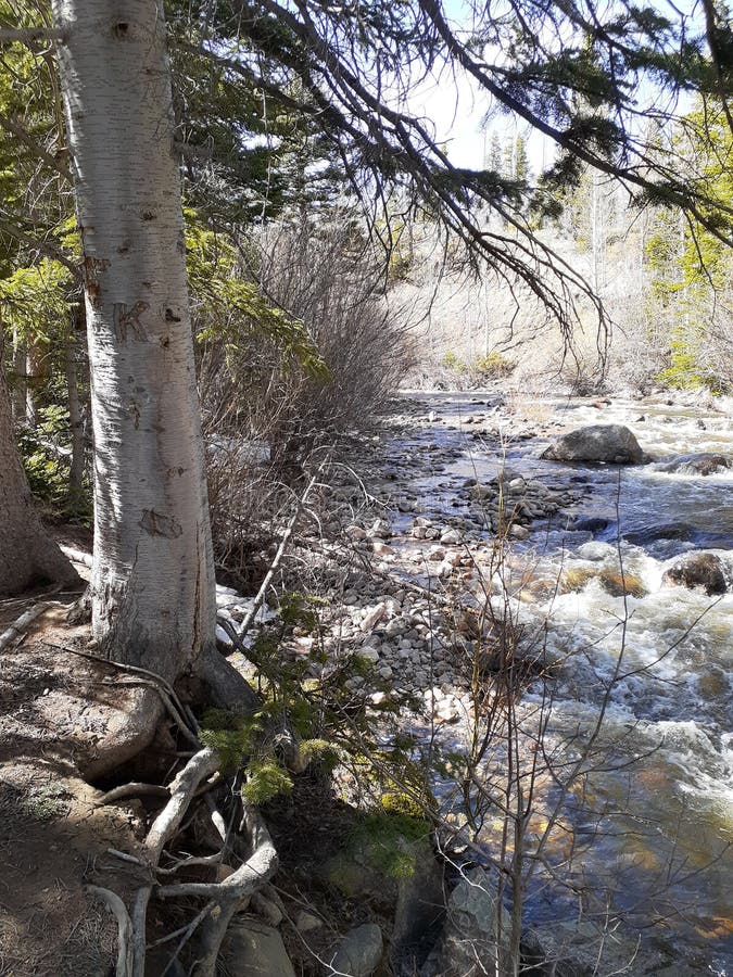 Little Laramie River on Snowy Range Road Wyoming Stock Photo - Image of ...