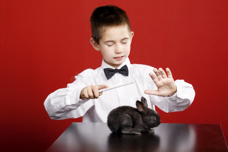 Little Magician with Rabbit Stock Photo - Image of beautiful, pulling ...