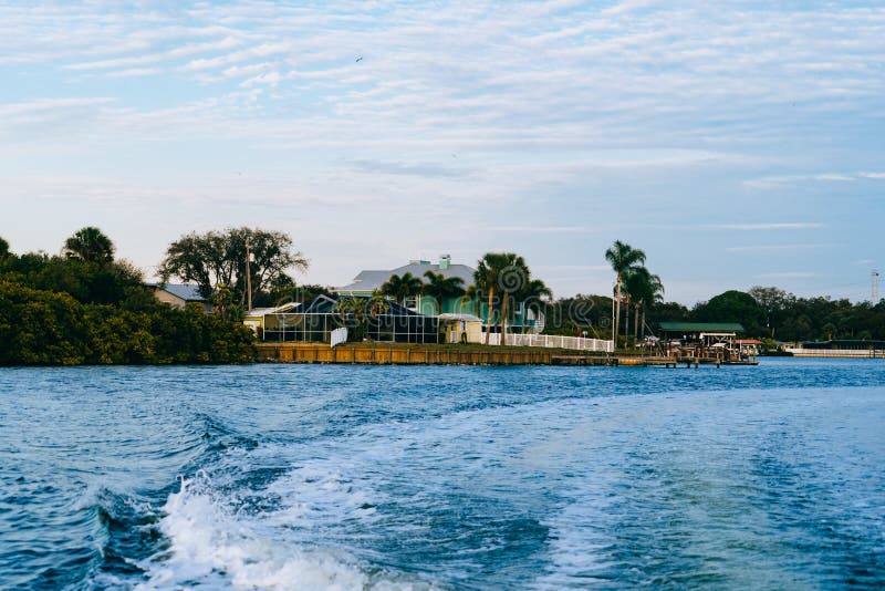 Little Manatee River stock image. Image of rain, manatee - 252279689