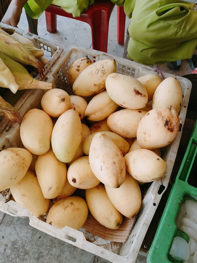 Little Mango at Fruits Store Stock Photo - Image of mango, mushroom ...
