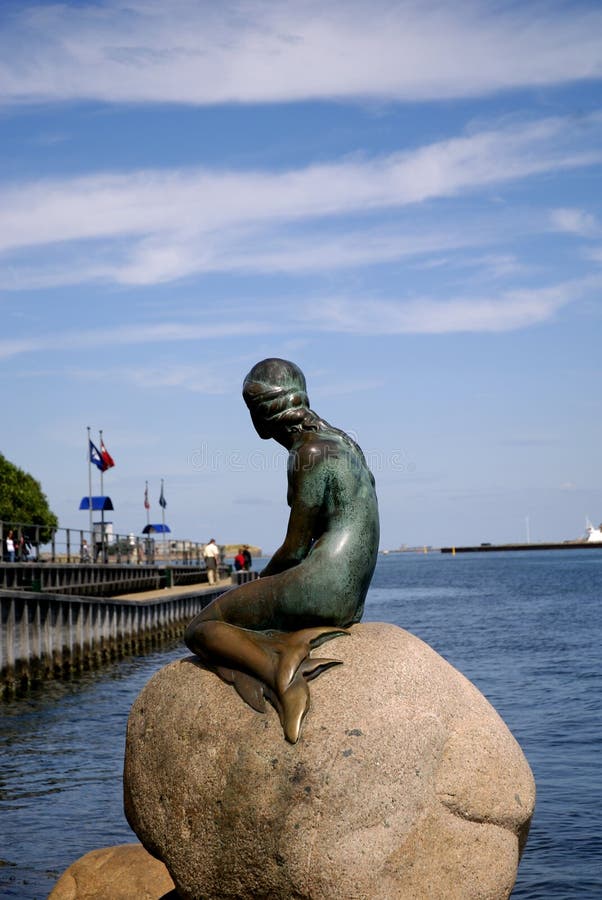 Donkey stock photo. Image of donkey, portrait, farm, funny - 2771210