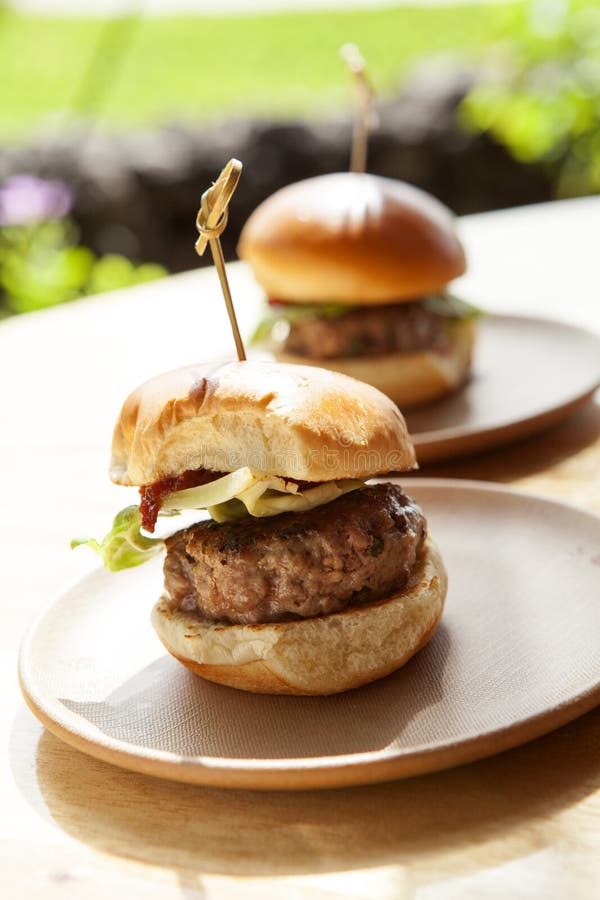 Little Mini Sliders stock image. Image of party, beef - 158354161