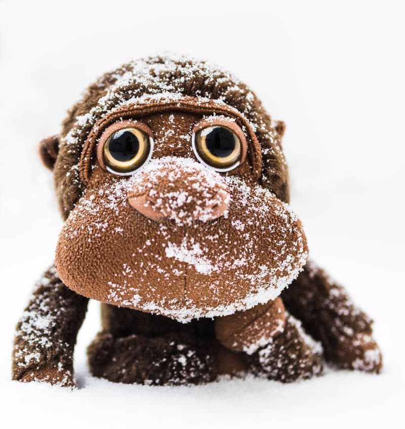 Little Monkey Plush Freezing Covered by Snow Stock Image - Image of ...