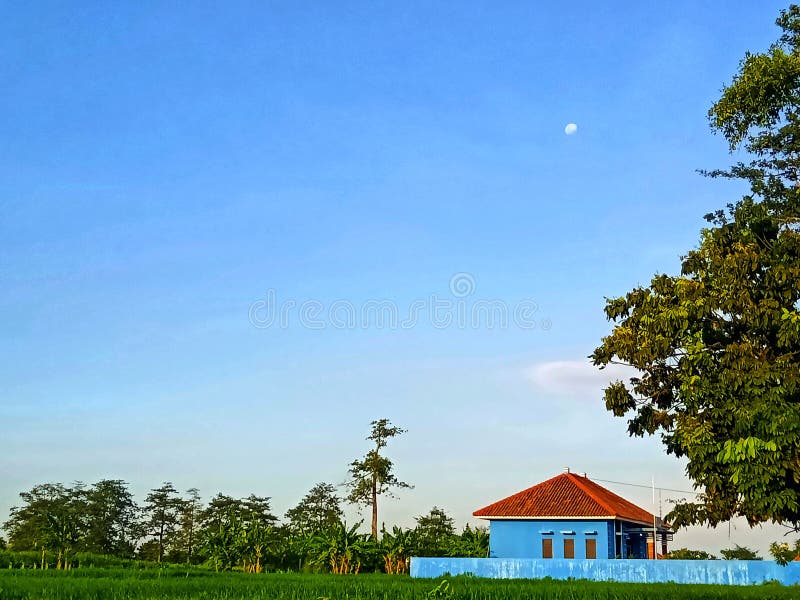 Little Moon in the Blue Sky Stock Image - Image of vacation, tree ...