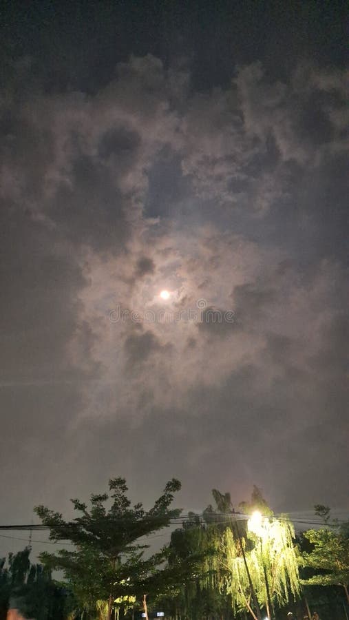 Little Moon in the Sky on this Night Stock Image - Image of tree, night ...