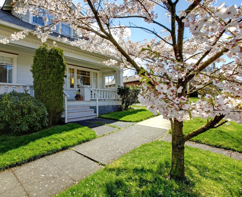 Little Old Cute House with a Blooming Cherry Tree. Stock Image - Image ...