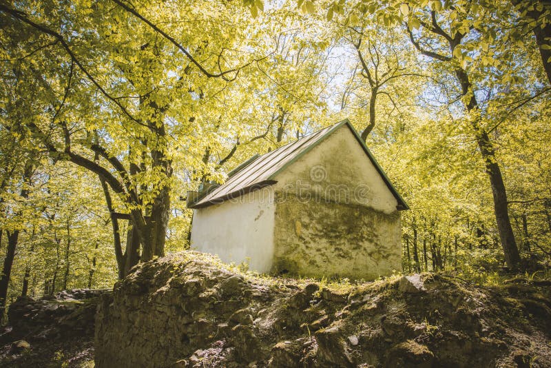 Little house in forest stock photo. Image of house, leaves - 115000700