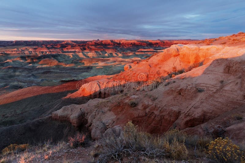 Painted Desert Yellow Orange Red Sandstone Arches National Park Moab ...