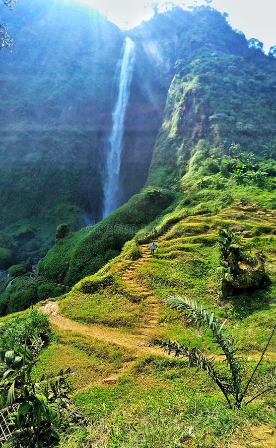 Little Paradise Waterfall Mountain River Stock Photo - Image of forest ...