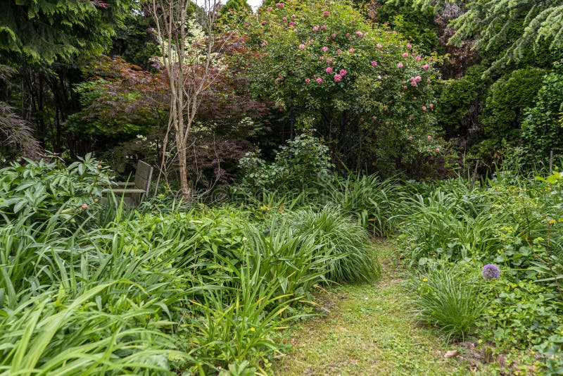 Little Path in Lush Green Garden Stock Photo - Image of nature, design ...