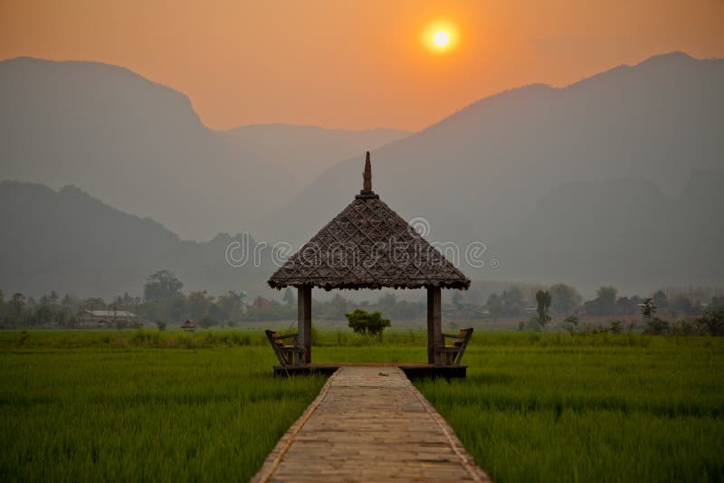 Little pavilion stock photo. Image of plant, countryside - 93091162