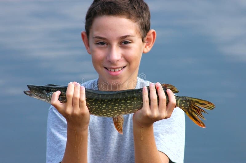 Little Pike stock photo. Image of gills, ventral, capture - 12833174