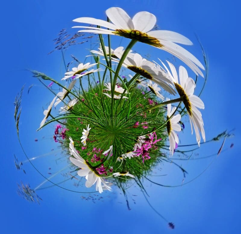 Little planet with flowers stock photo. Image of land - 21024072
