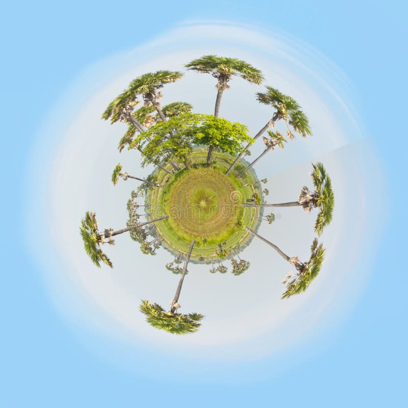 Little planet with trees stock photo. Image of beautiful - 47515382