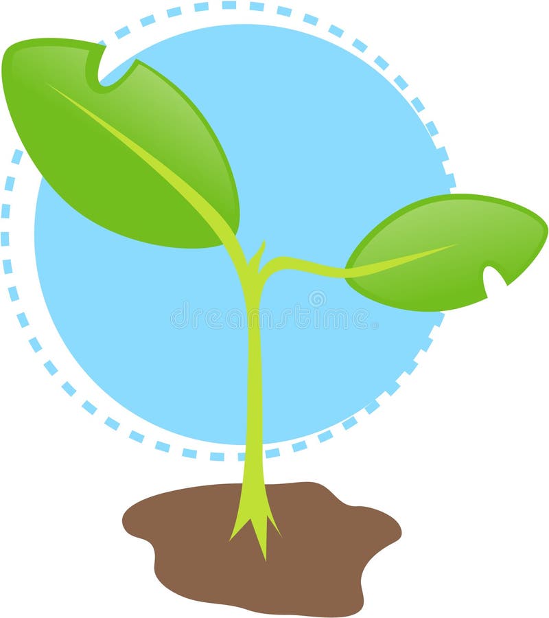Little plant stock illustration. Illustration of vector - 14890073