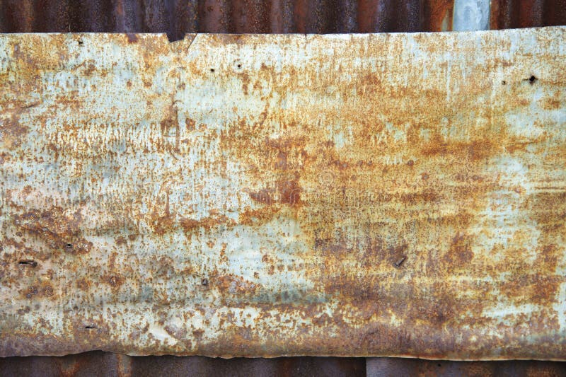 Little Plant Grow on Rust Metal Sheet Stock Photo - Image of sheet ...