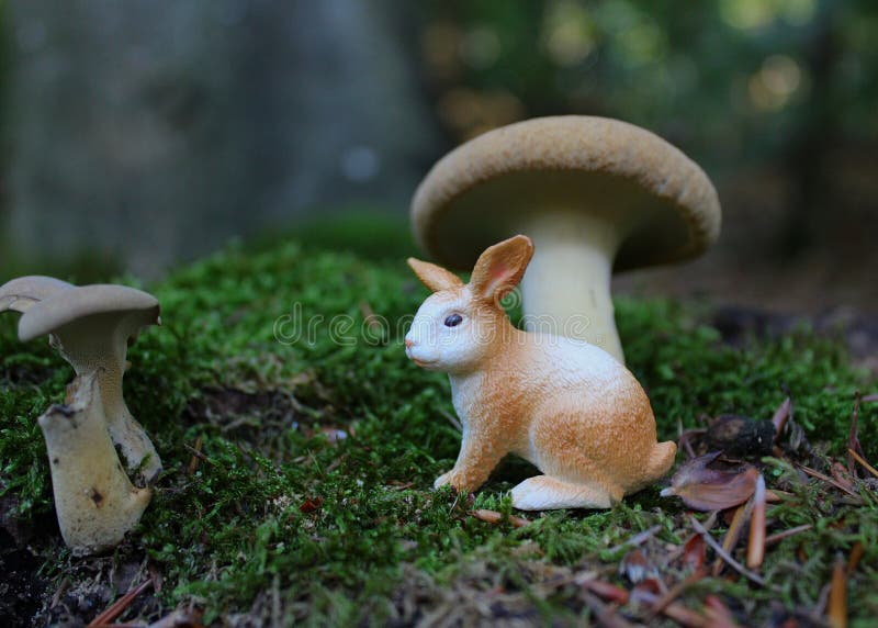 502 Little Plastic Rabbit Stock Photos - Free & Royalty-Free Stock ...