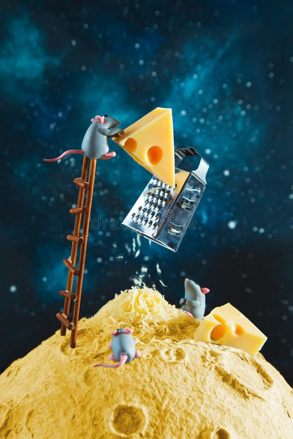 Mouse Universe Cheese Stock Photos - Free & Royalty-Free Stock Photos ...