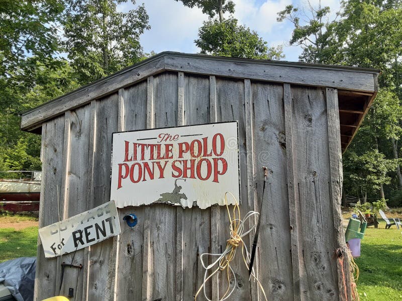 Little polo pony editorial stock image. Image of wood - 237999079