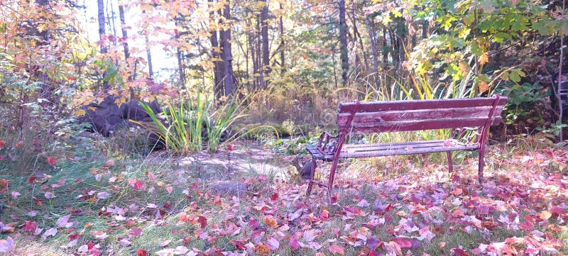 Little Pond in October stock photo. Image of plant, flower - 232386758