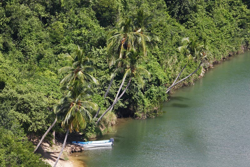 Little port stock image. Image of ship, tropic, trees - 10516529