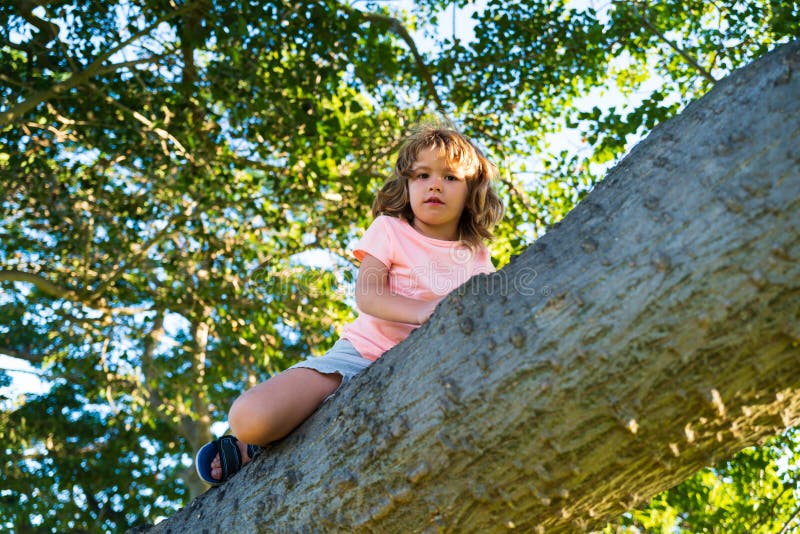 Little Pretty Child Boy Climbing Tree in the Park. Stock Image - Image ...