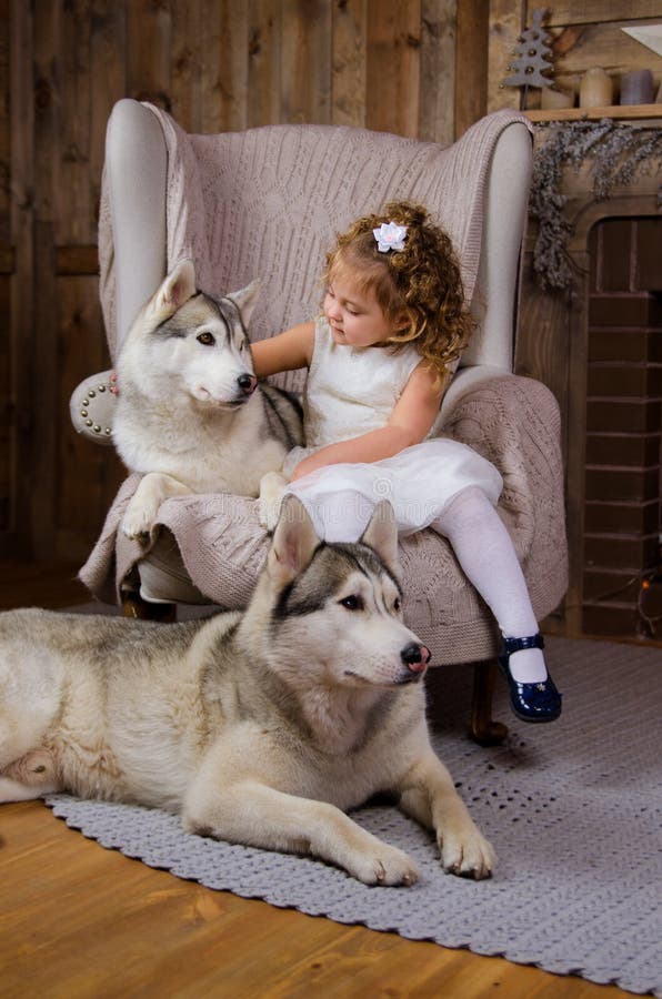 Little princess with Husky stock photo. Image of happiness - 77914372