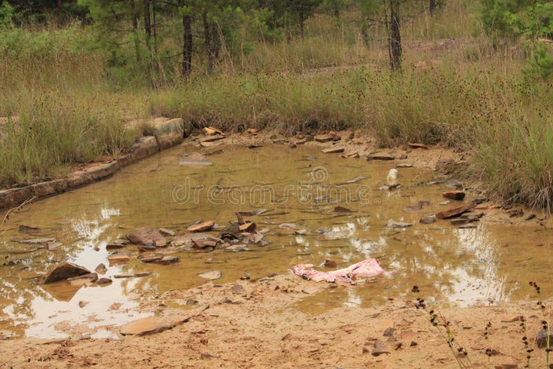 Little puddle stock photo. Image of nature, mudd, water - 226829178