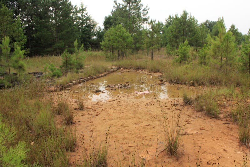 Little puddle stock photo. Image of nature, mudd, water - 226829192